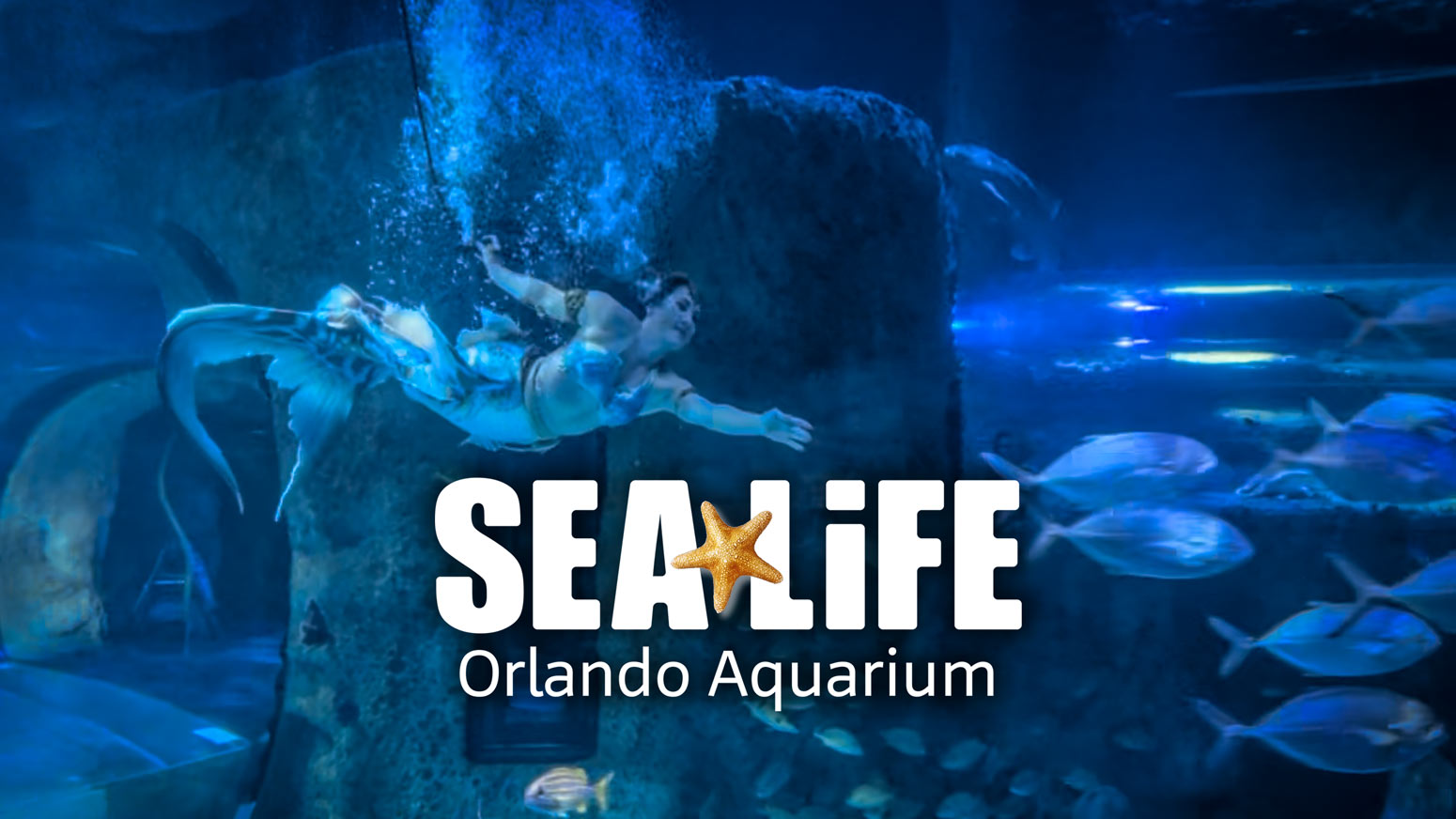 Mermaids arrive in ICON Park at SEA LIFE Orlando Aquarium