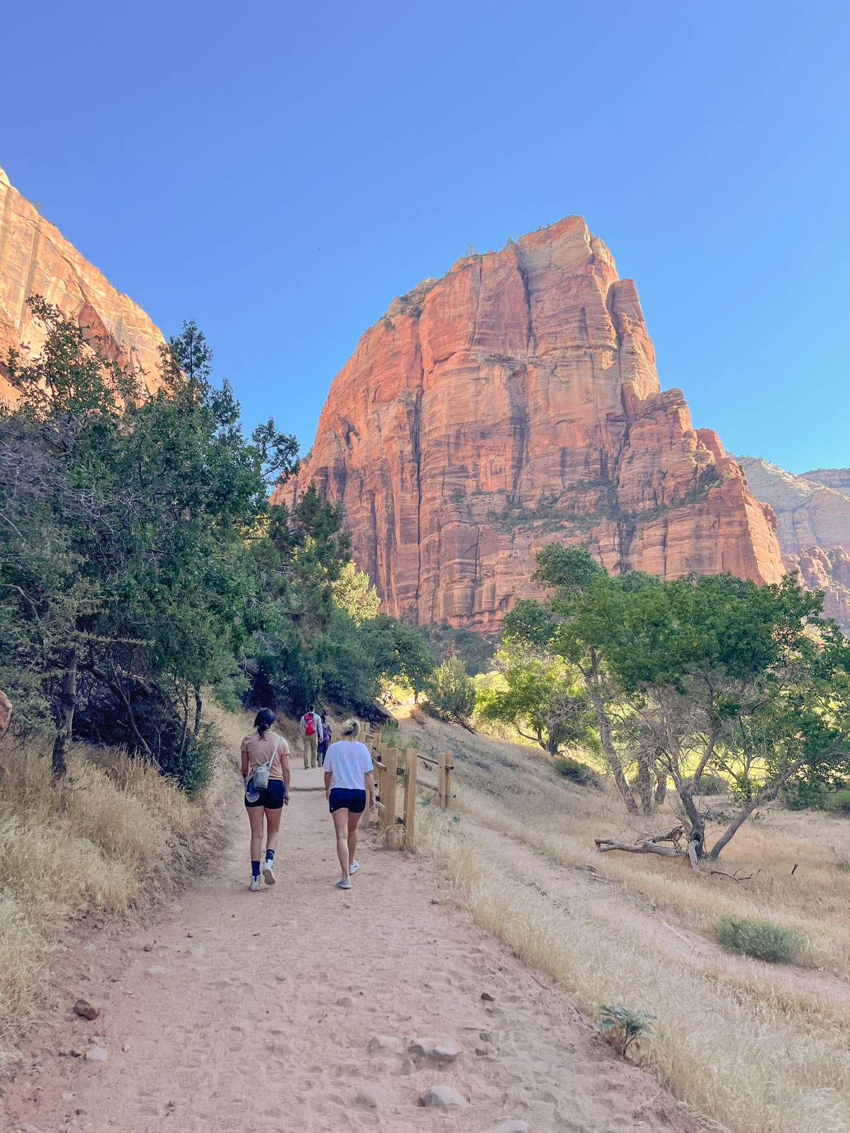 A hiker's dream | Angels Landing Trail at Zion National Park